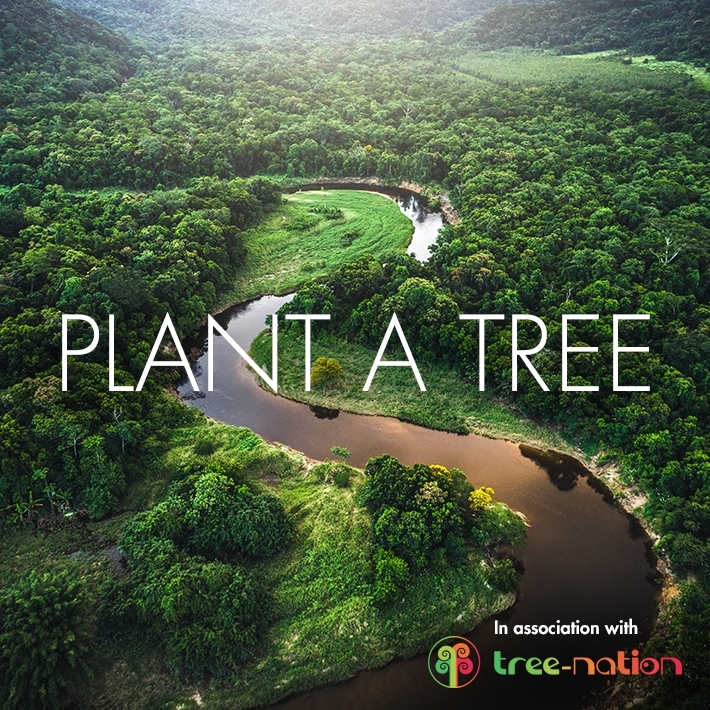 TREE NATION – Fénelon – La Trinité